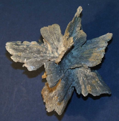 BENEDEK ENDRE BARLANGKUTATÓ ÉS TERMÉSZETVÉDELMI EGYESÜLET – GIPSZ